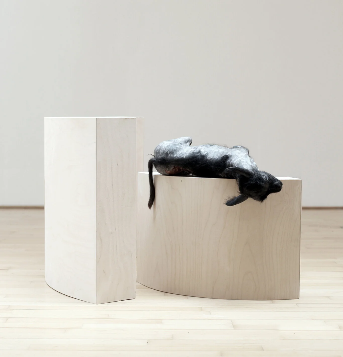 TEN | Contemporary Art Gallery | Cardiff | Carwyn Evans | The Other ...