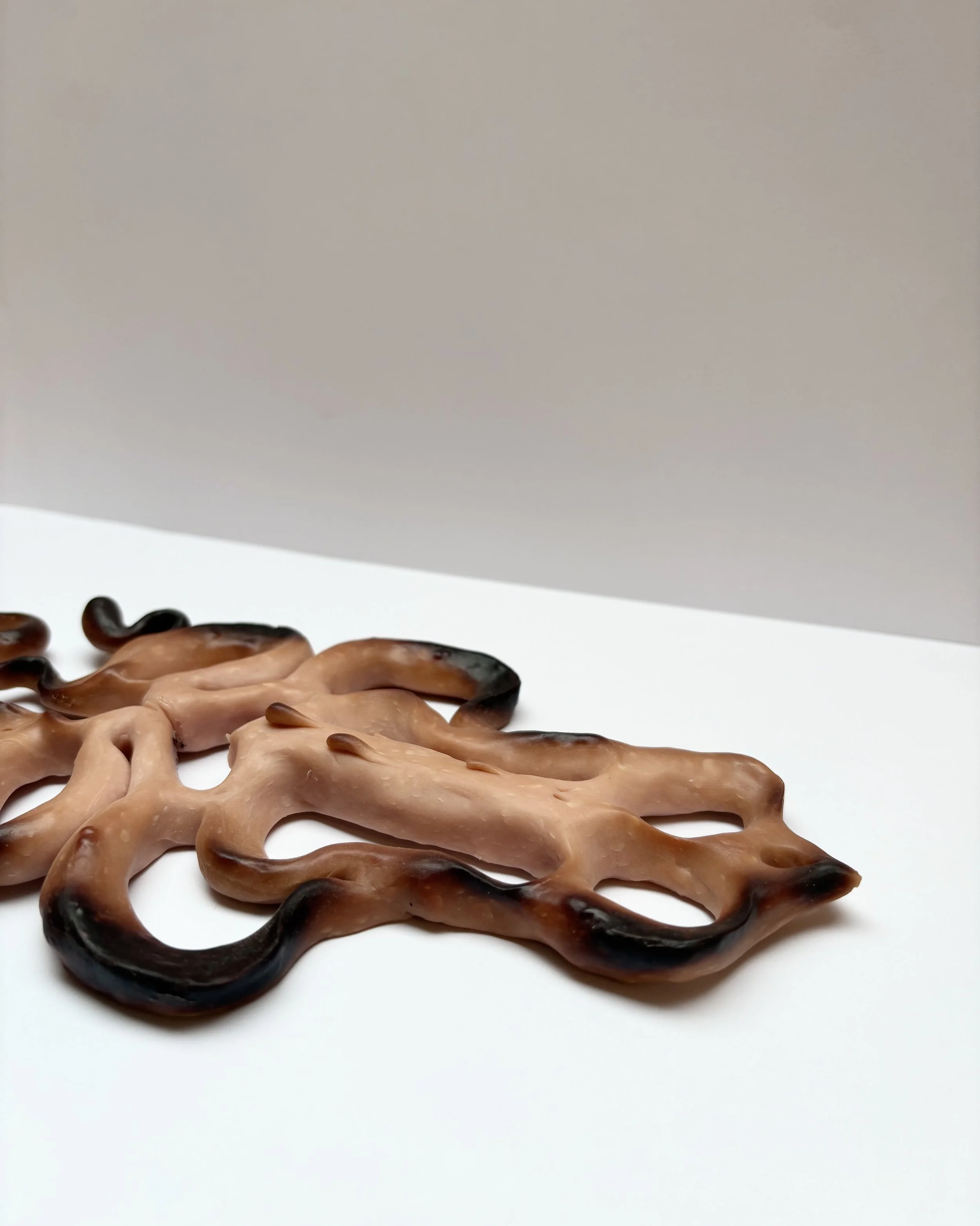 TEN | Contemporary Art Gallery | Cardiff | Sioned Mason Smith, Llwy Garu #2