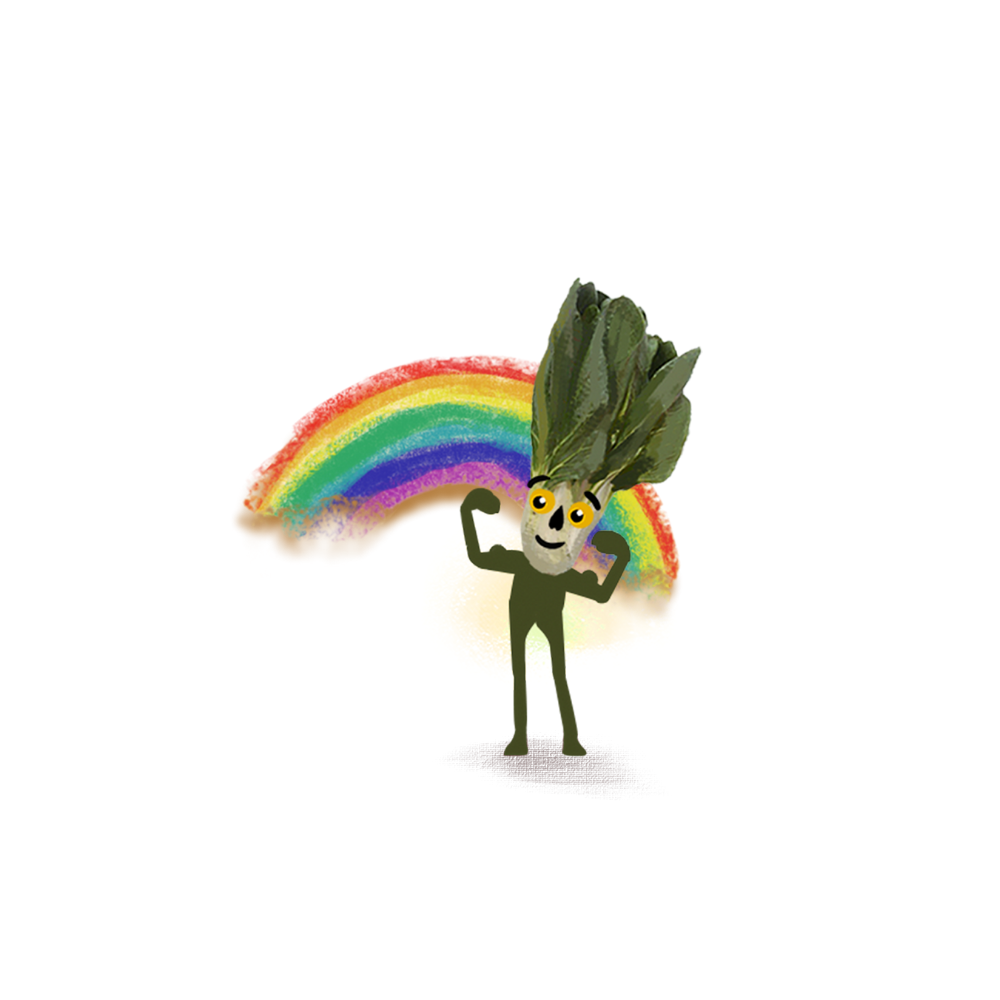 SEL Curriculum for Schools | Wisdom Social Emotional Learning — Better Kids