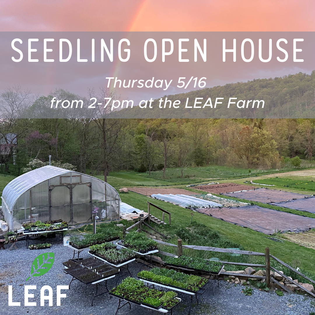Seedling Open House at the LEAF Farm — LEAF