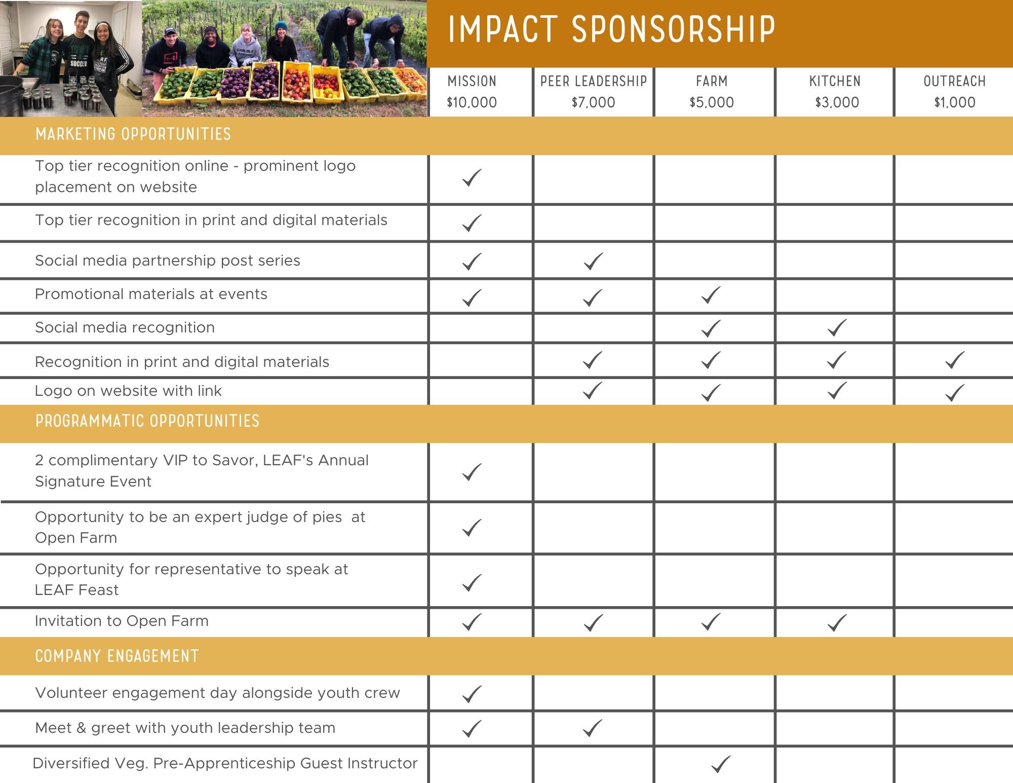 Become a Sponsor! — LEAF