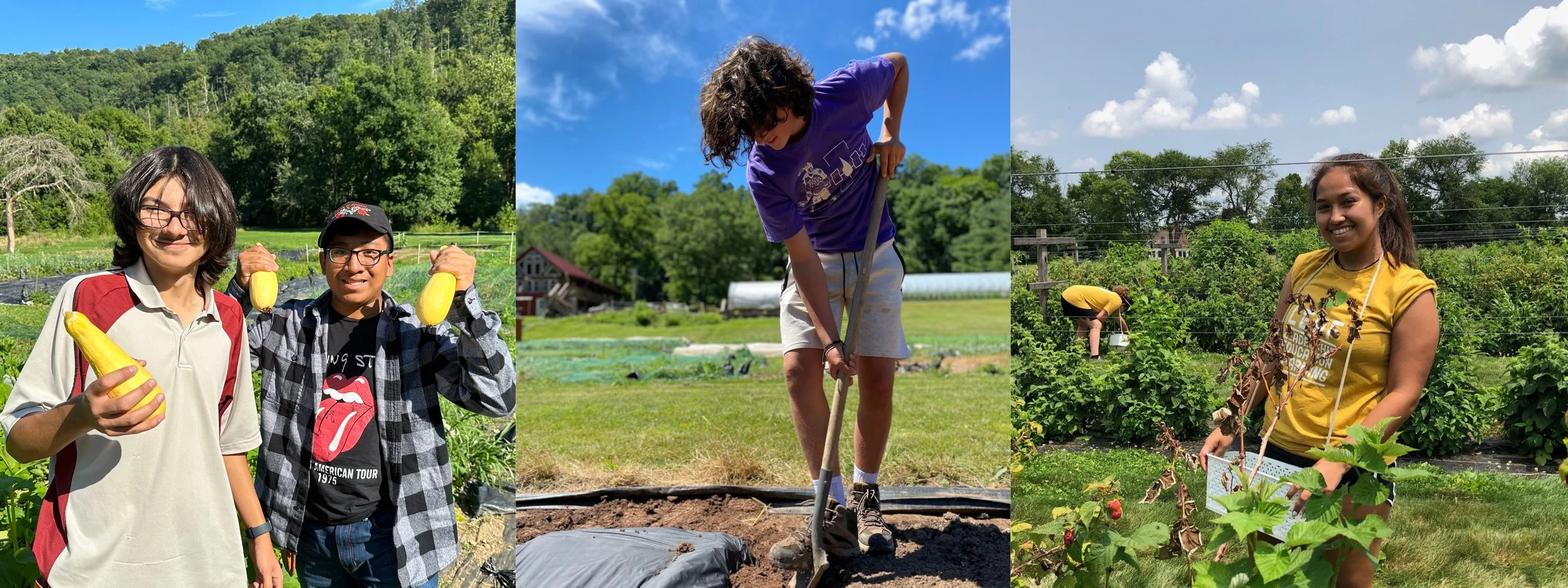 LEAF Farm Shares — LEAF