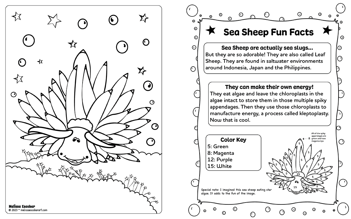 Sea Slug Coloring Pages [2025]