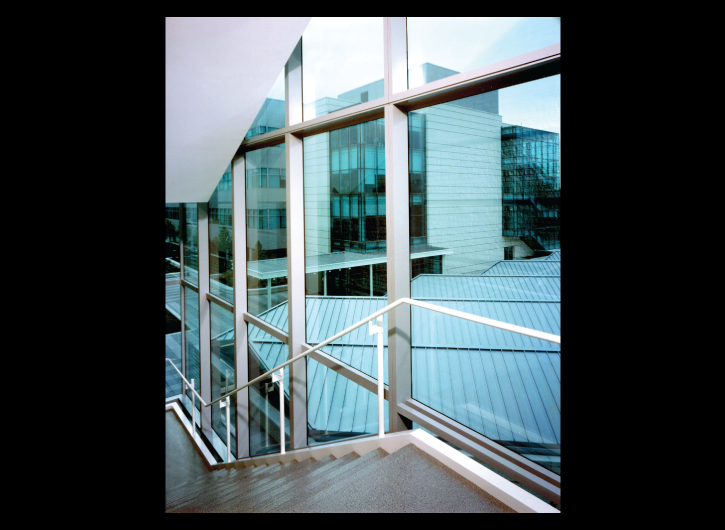 PROGRESSIVE CAMPUS II — BIALOSKY NEW YORK