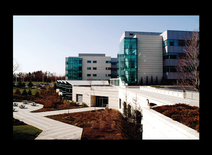 PROGRESSIVE CAMPUS II — BIALOSKY NEW YORK