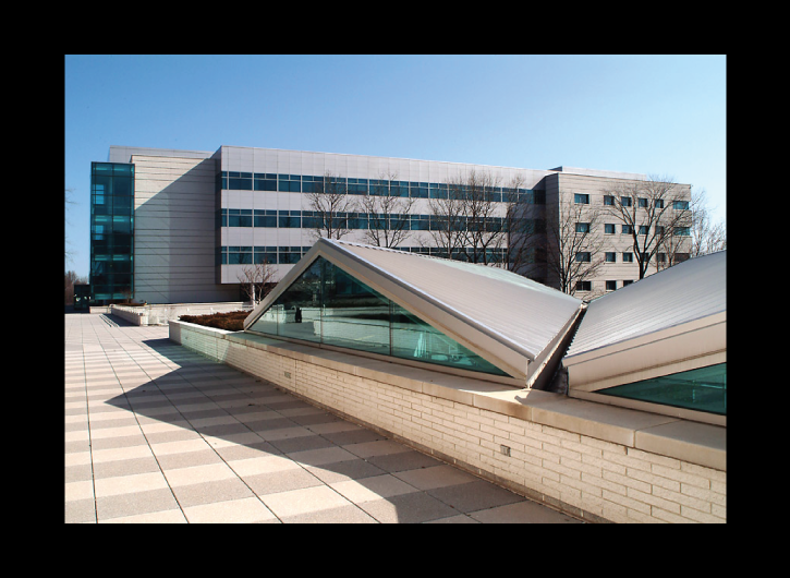 PROGRESSIVE CAMPUS II — BIALOSKY NEW YORK