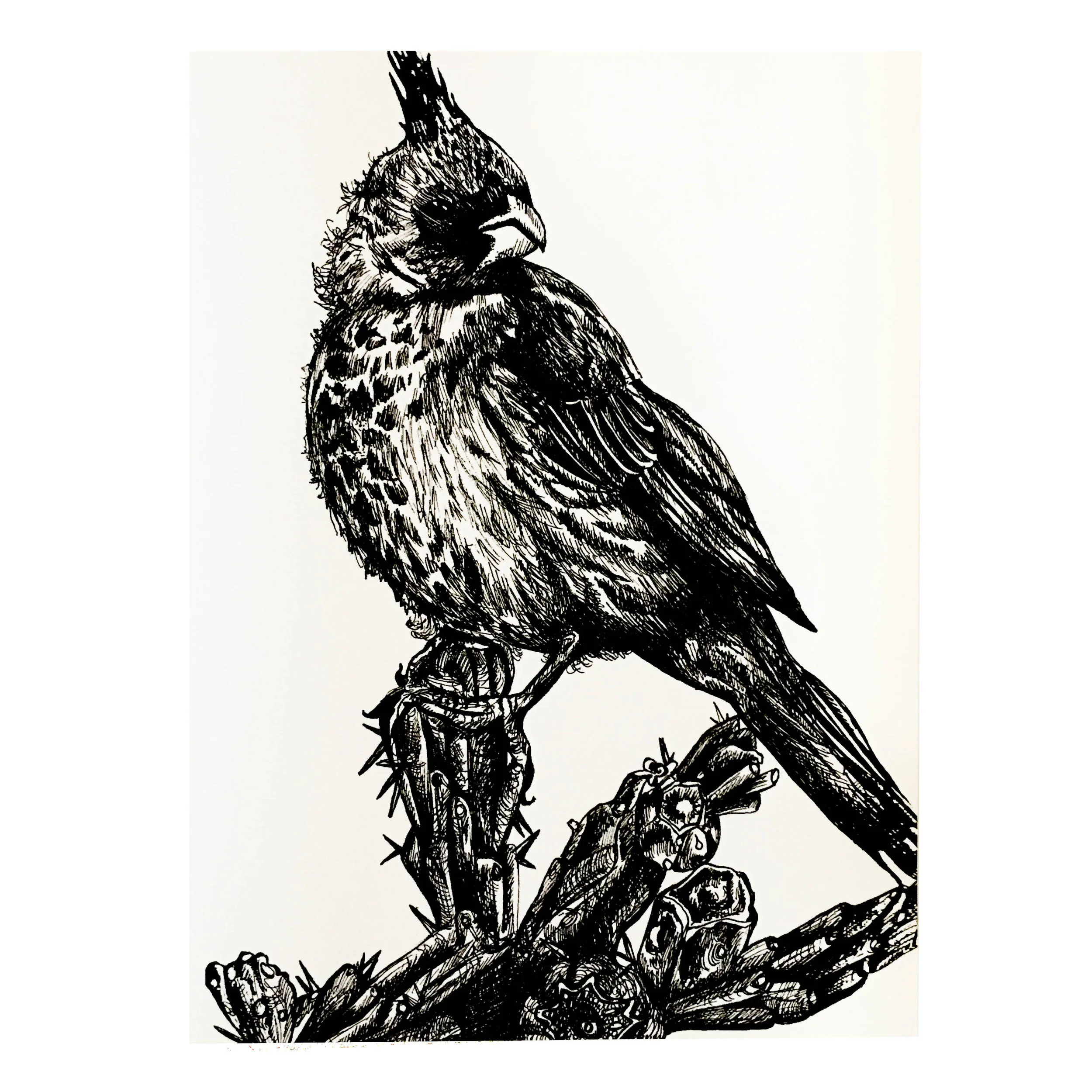 Janice Nelson Designs —Art Prints