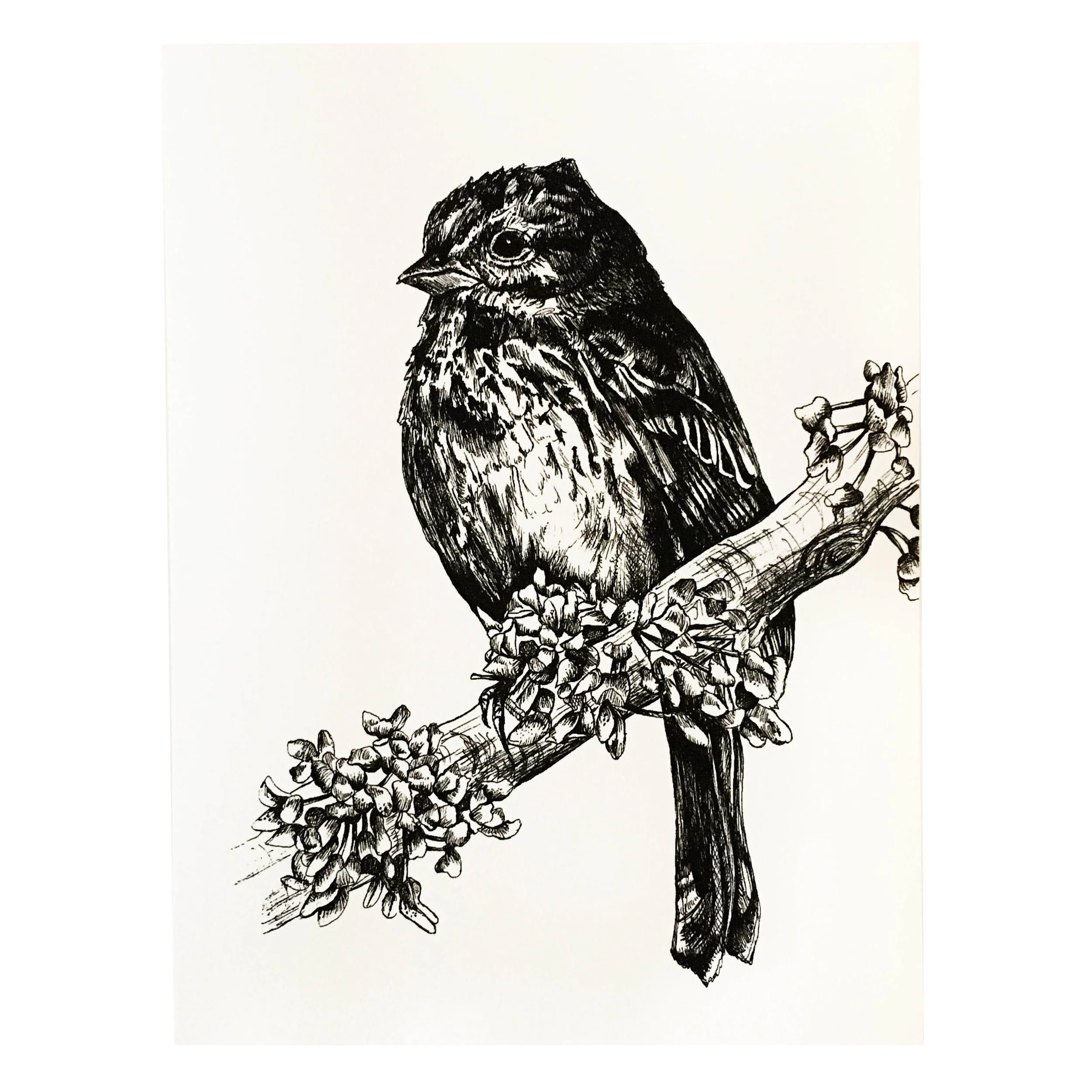 Janice Nelson Designs —Art Prints