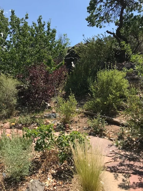 Randall Davey House — Historic Santa Fe Foundation