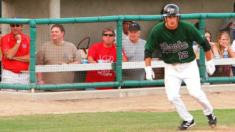 Larimer Design — Recreation Ballpark Fan Dugout