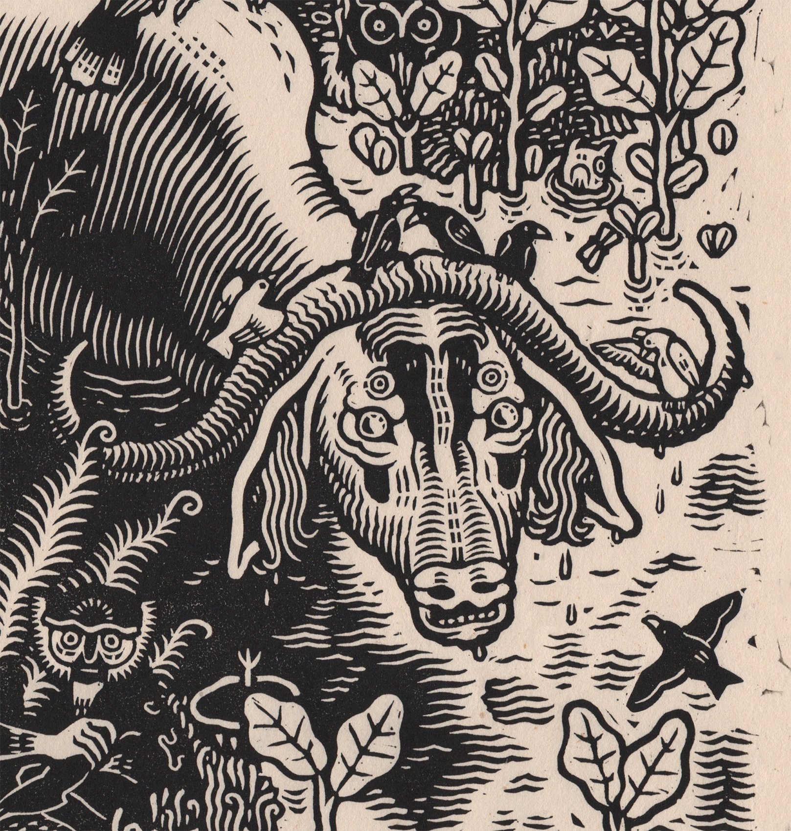Bull (key proof), linocut on paper — Kathleen Neeley