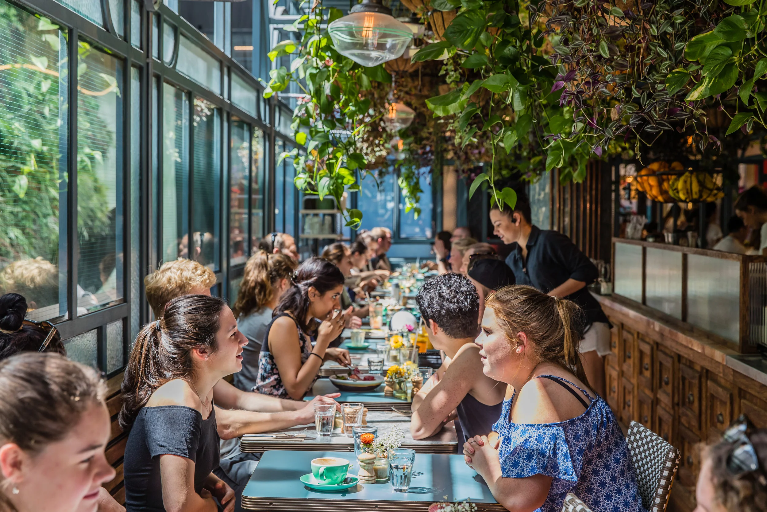Flower Power Enfield Cafe Hours | Best Flower Site