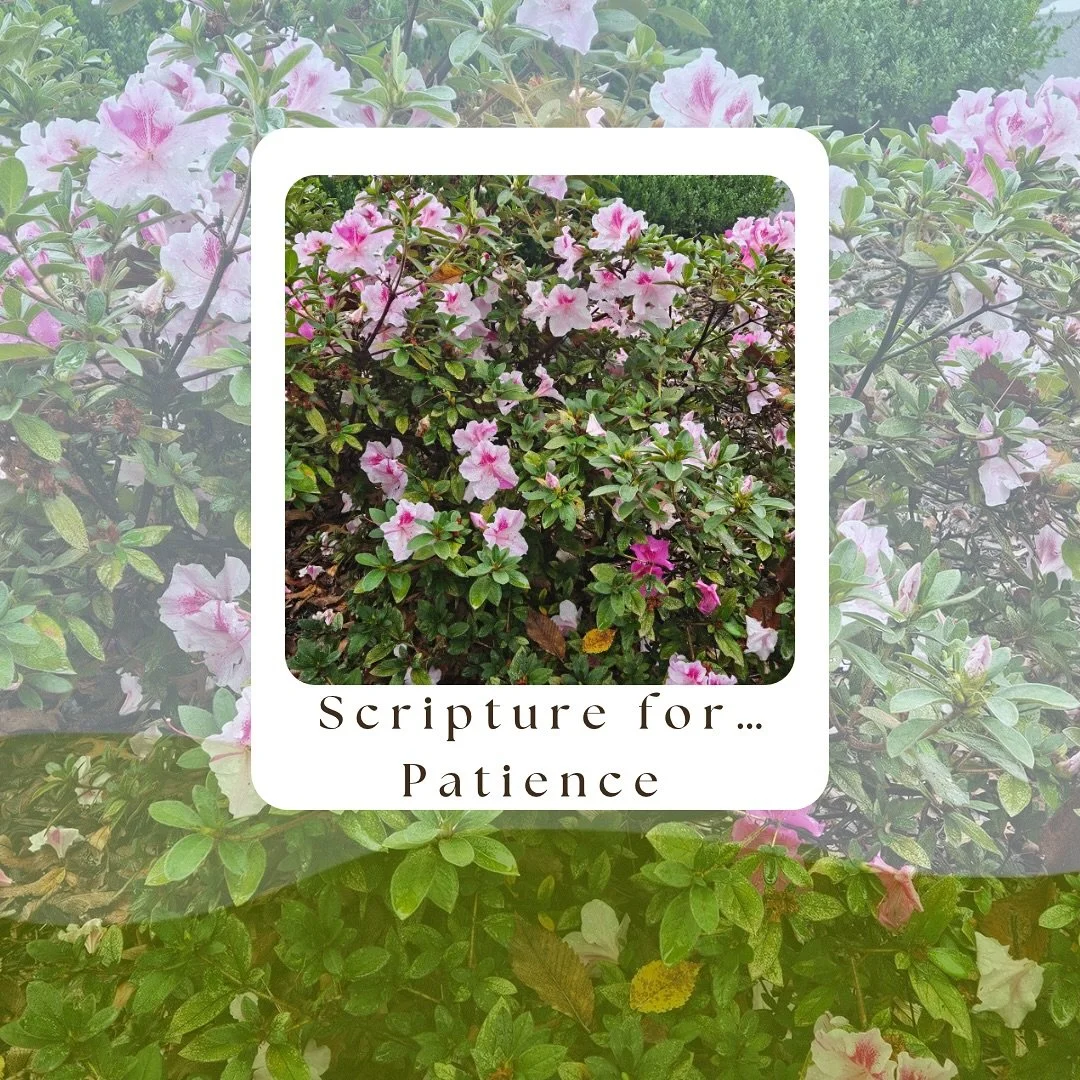 Grace New Hope