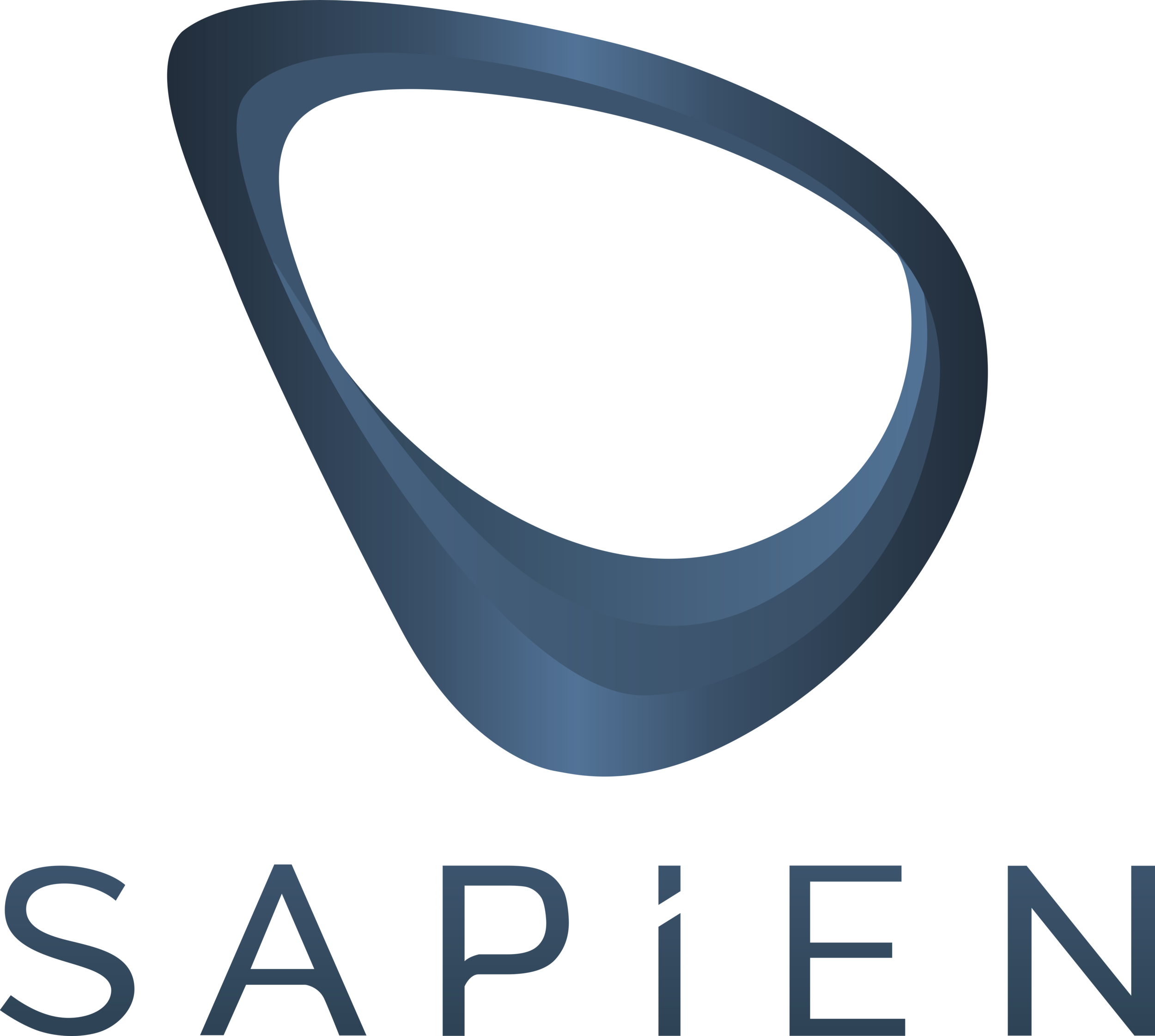 About — Sapien experience