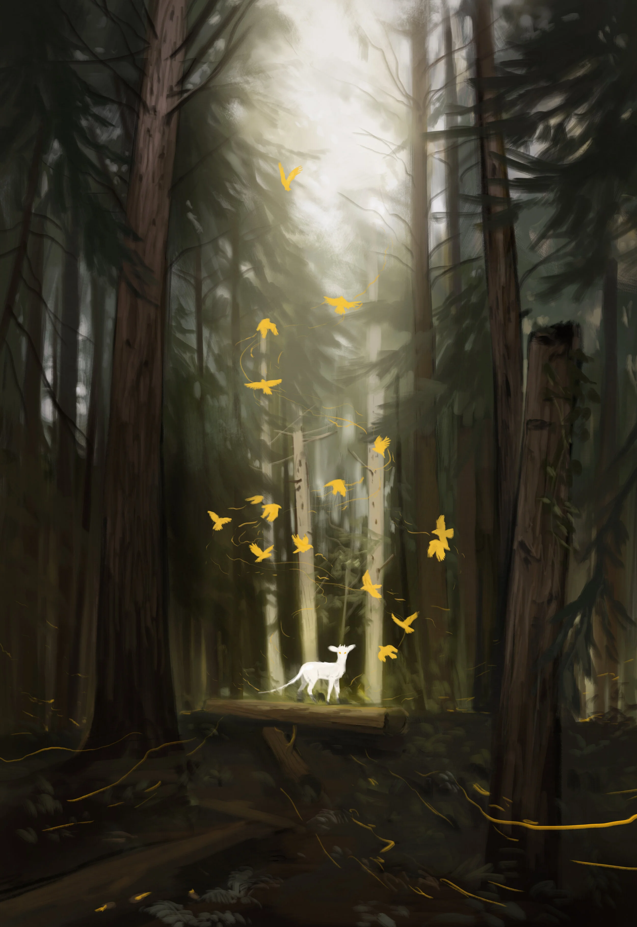 Illustrations — Laurel Dundee