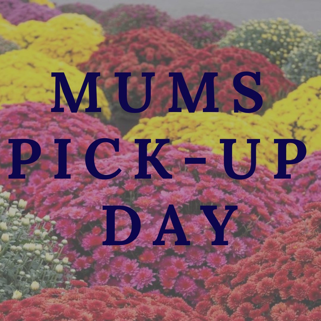 Mum Pick-up Day — Greenwood Christian Academy
