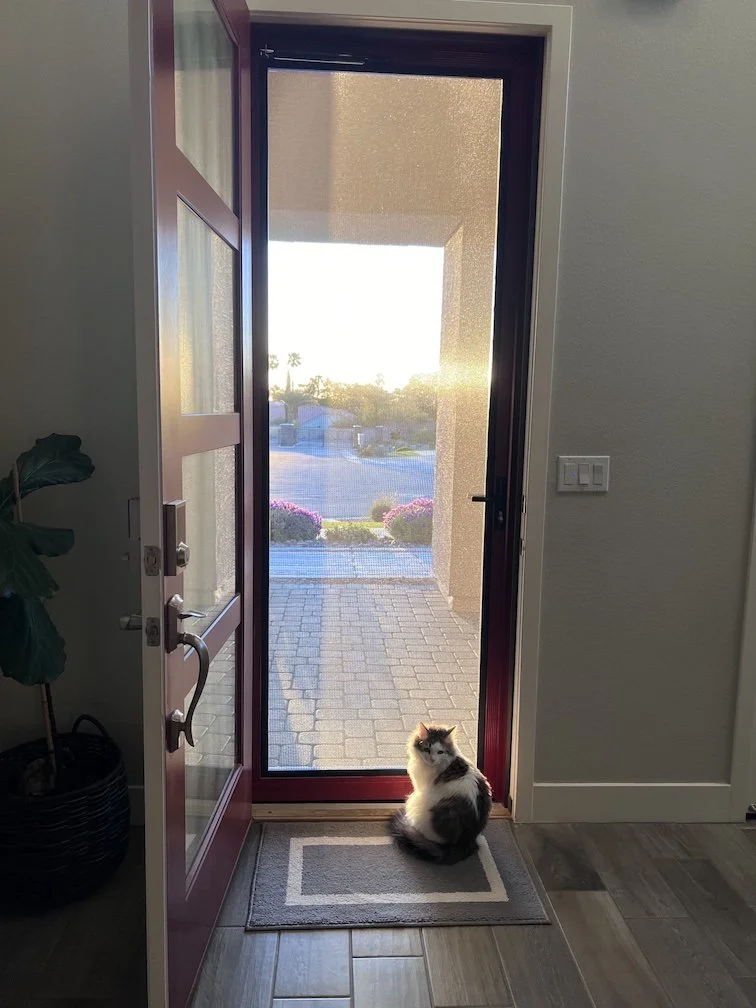 Security Screen Doors That Protect Your Home | Free Estimate - Boss ...