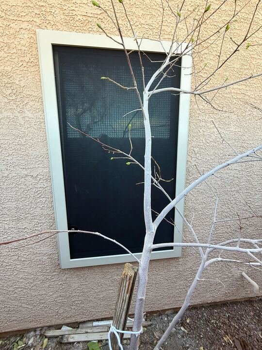 Enhancing Home Safety: The Power of Security Screens - Blog - Security ...