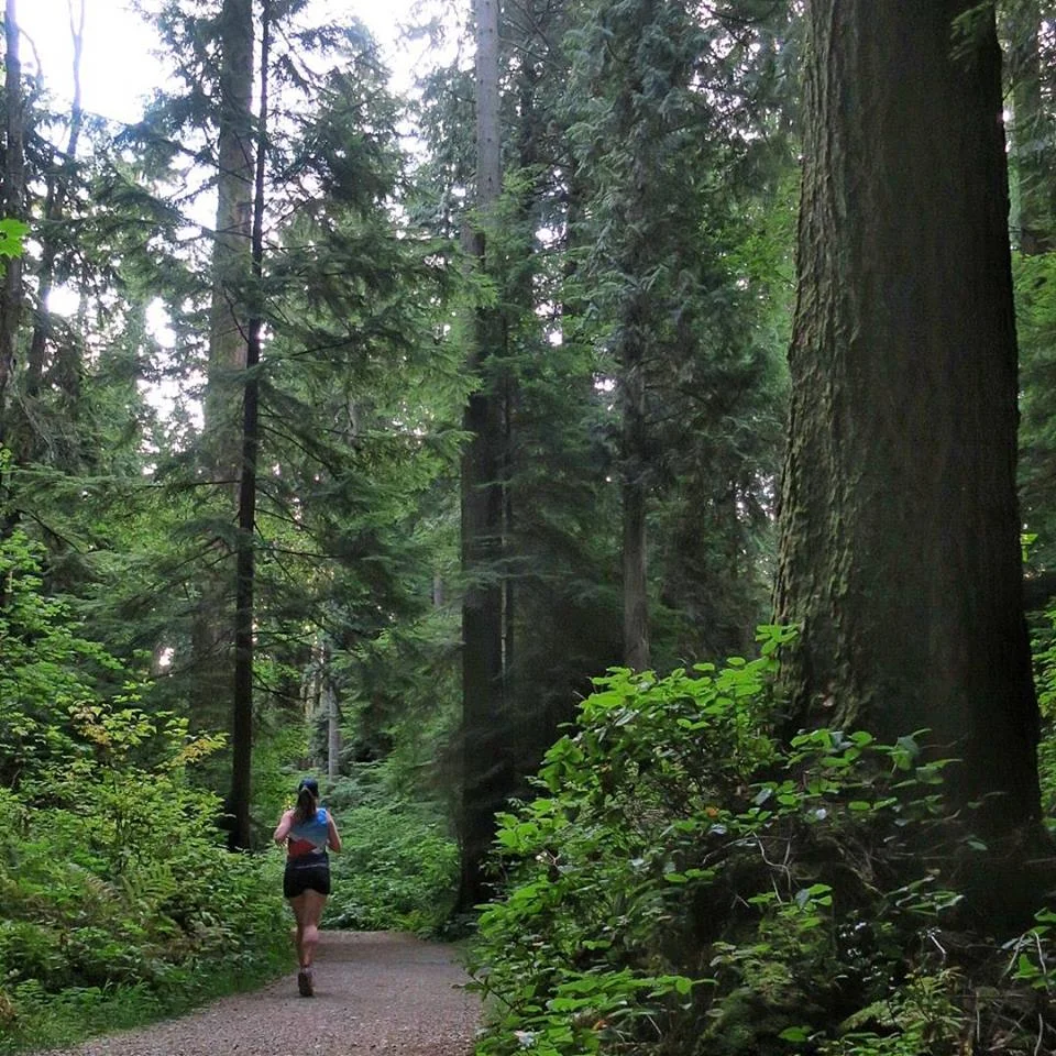 Trail Trips