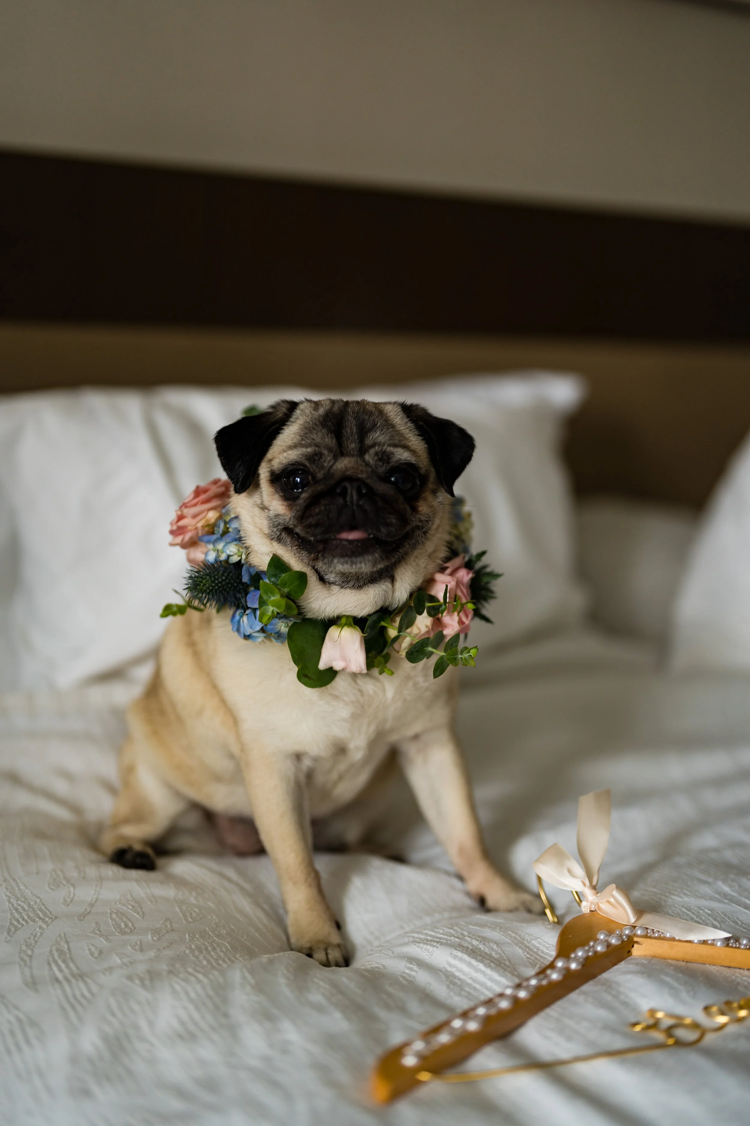 Joyful June Wedding at Grounds for Sculpture | Janet Makrancy’s ...