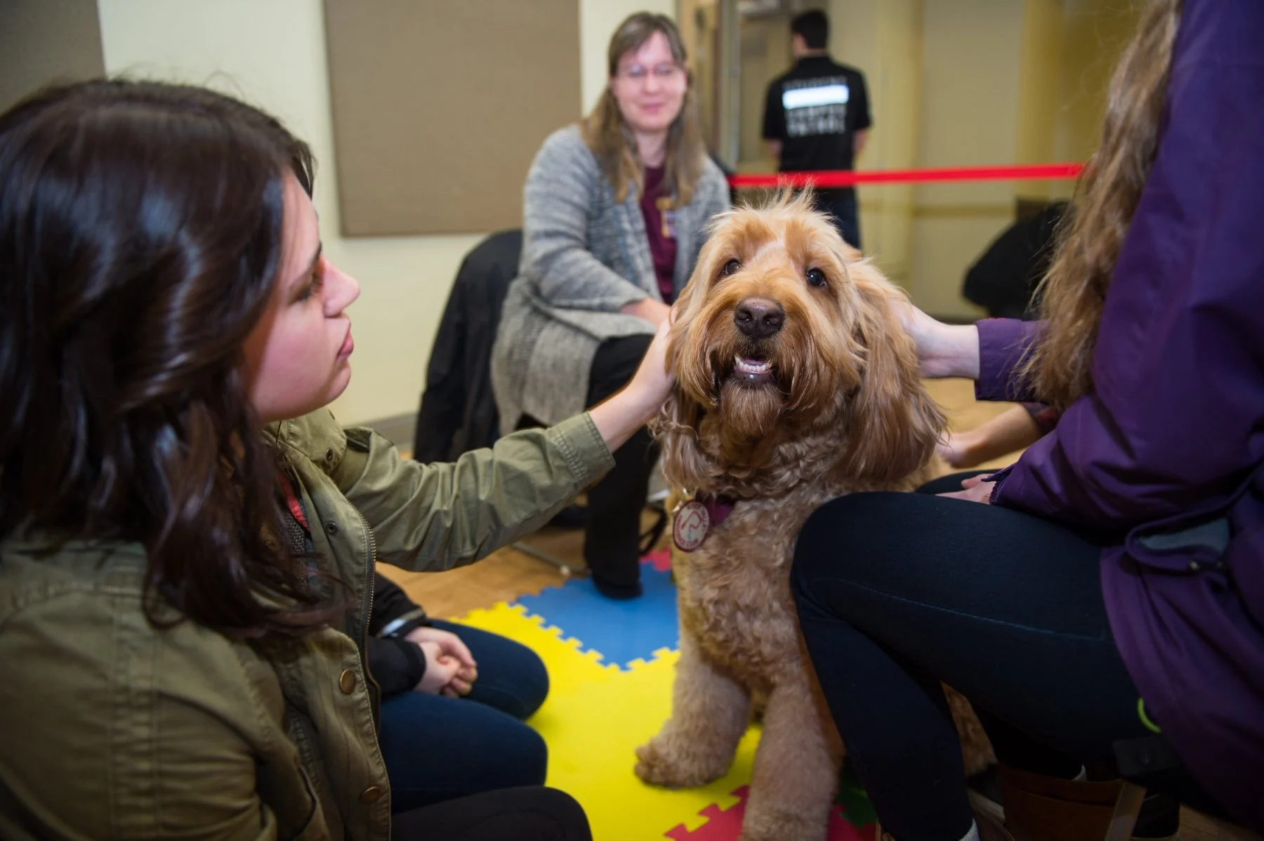 Take a Paws — UNB Student Union