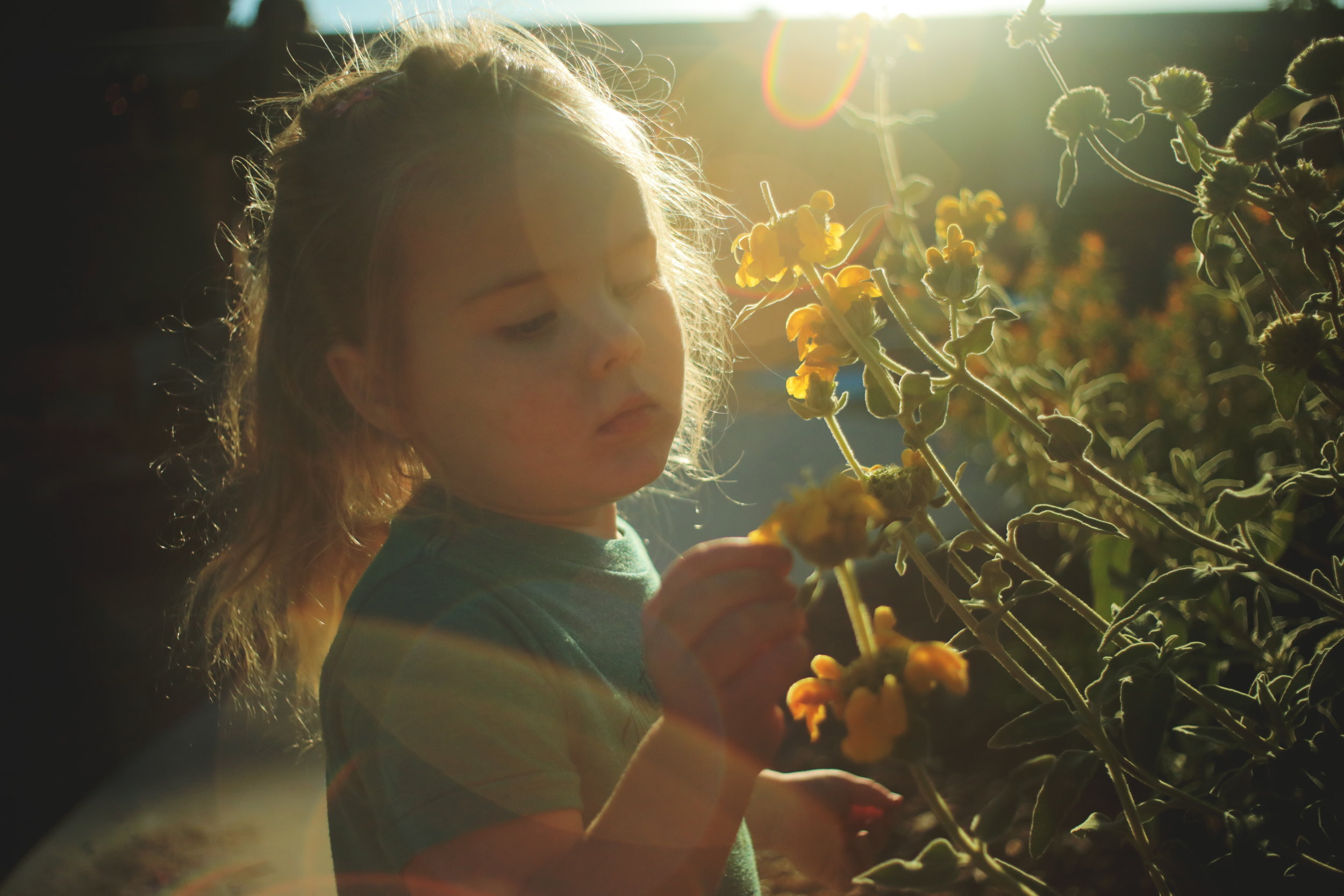 FAQs Monarch Preschool