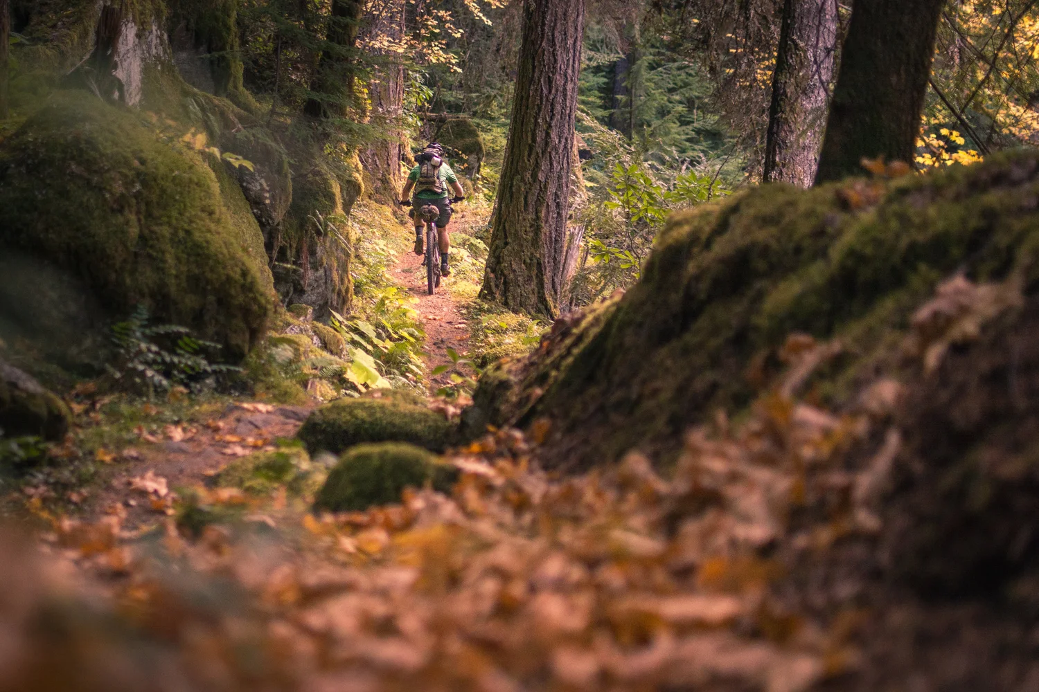 Thru-riding (5-30 days) — Oregon Timber Trail