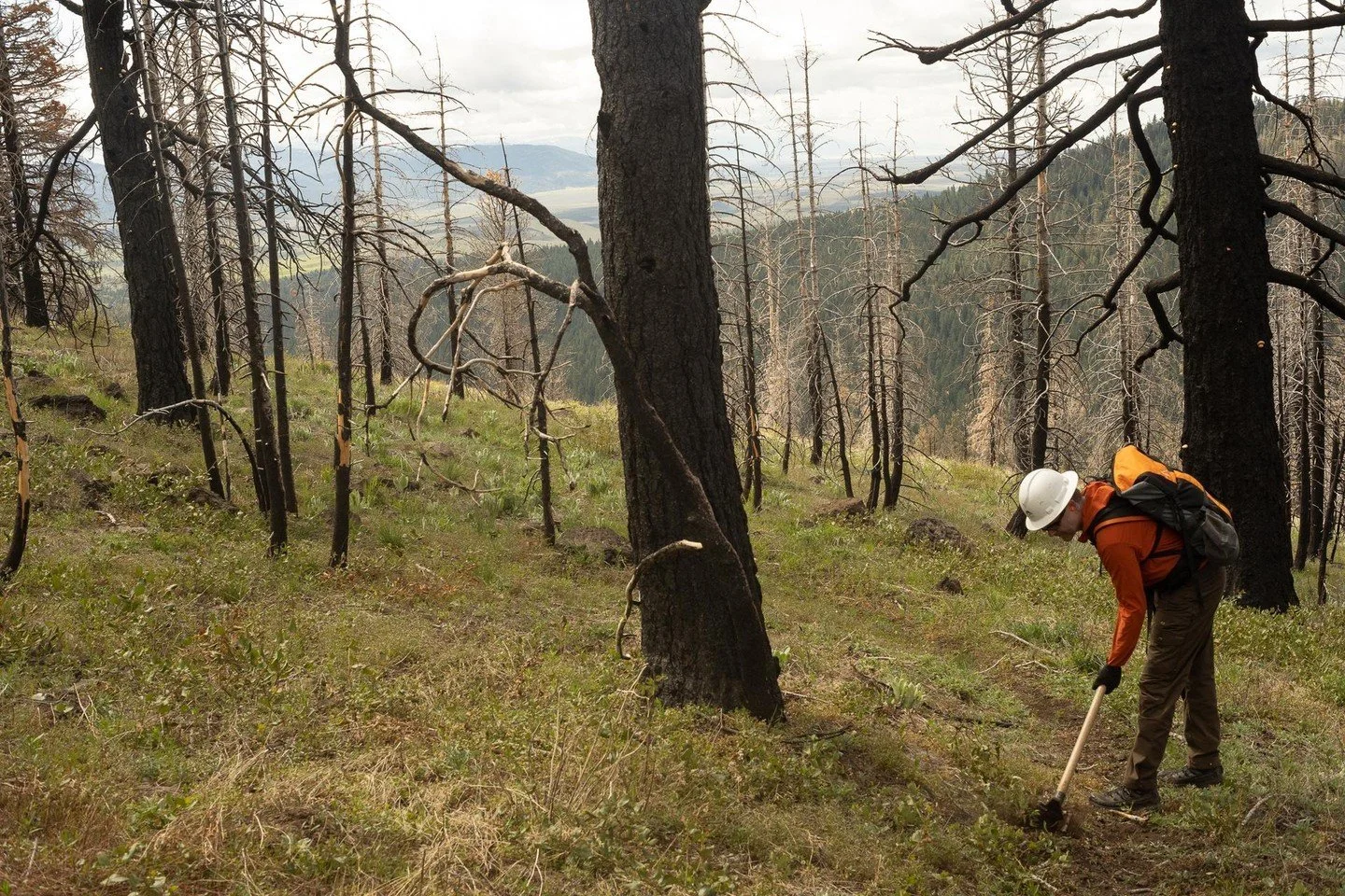 Intro to Bikepacking: Sisters Workshop — Oregon Timber Trail