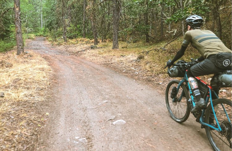 Ride the OTT Overview — Oregon Timber Trail