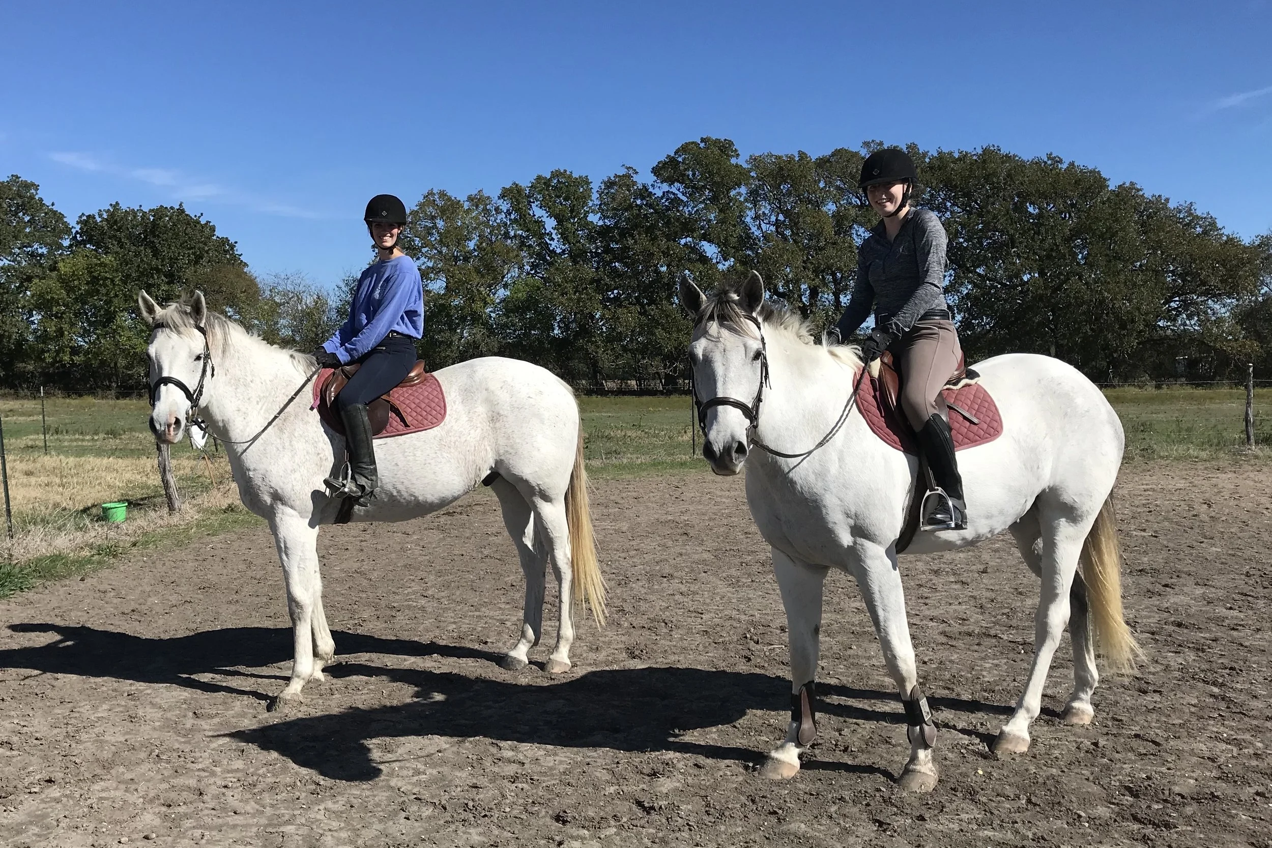 LESSONS — Hidden Branch Stables