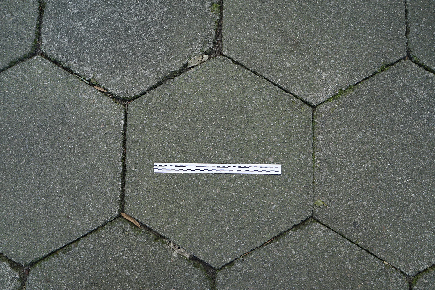 Hexagonal Pavers Layout