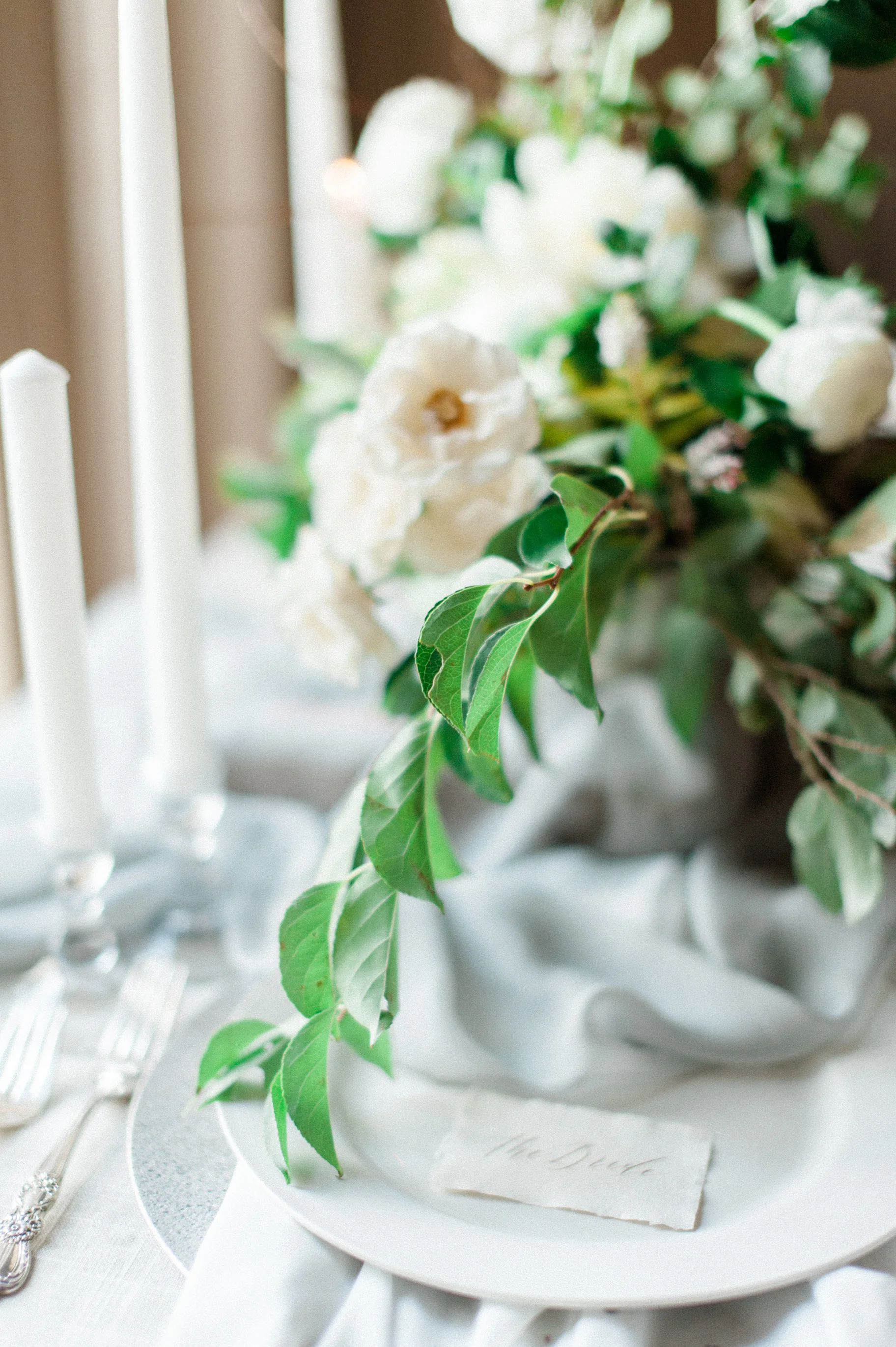 South Georgia Mansion Editorial — Amy Osaba Design