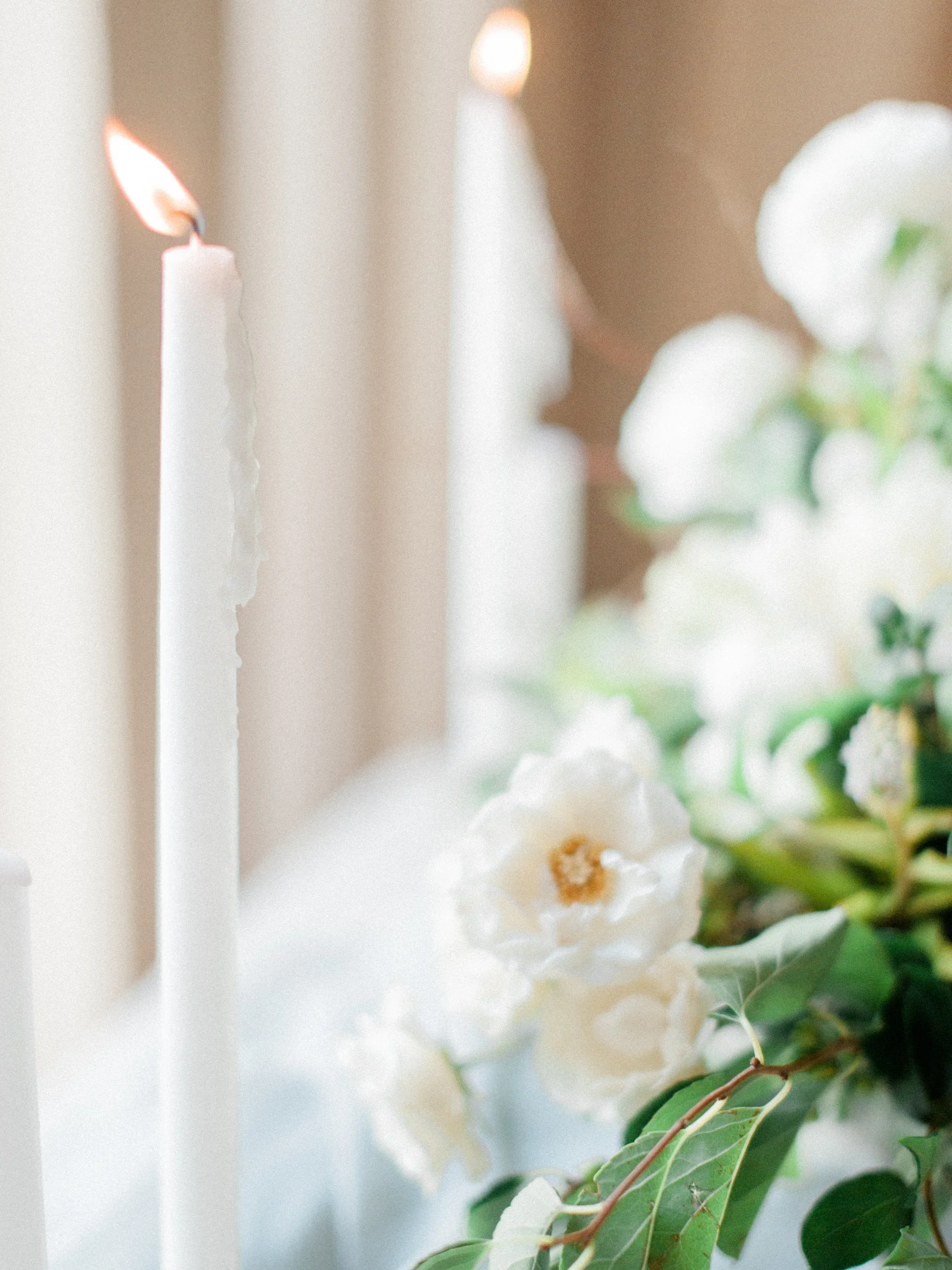 South Georgia Mansion Editorial — Amy Osaba Design