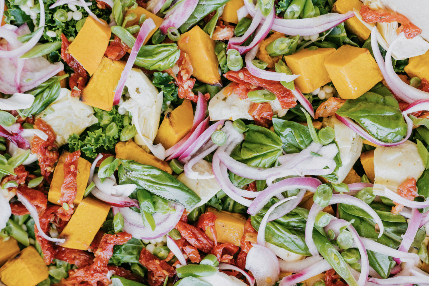 NOURISH + FEED