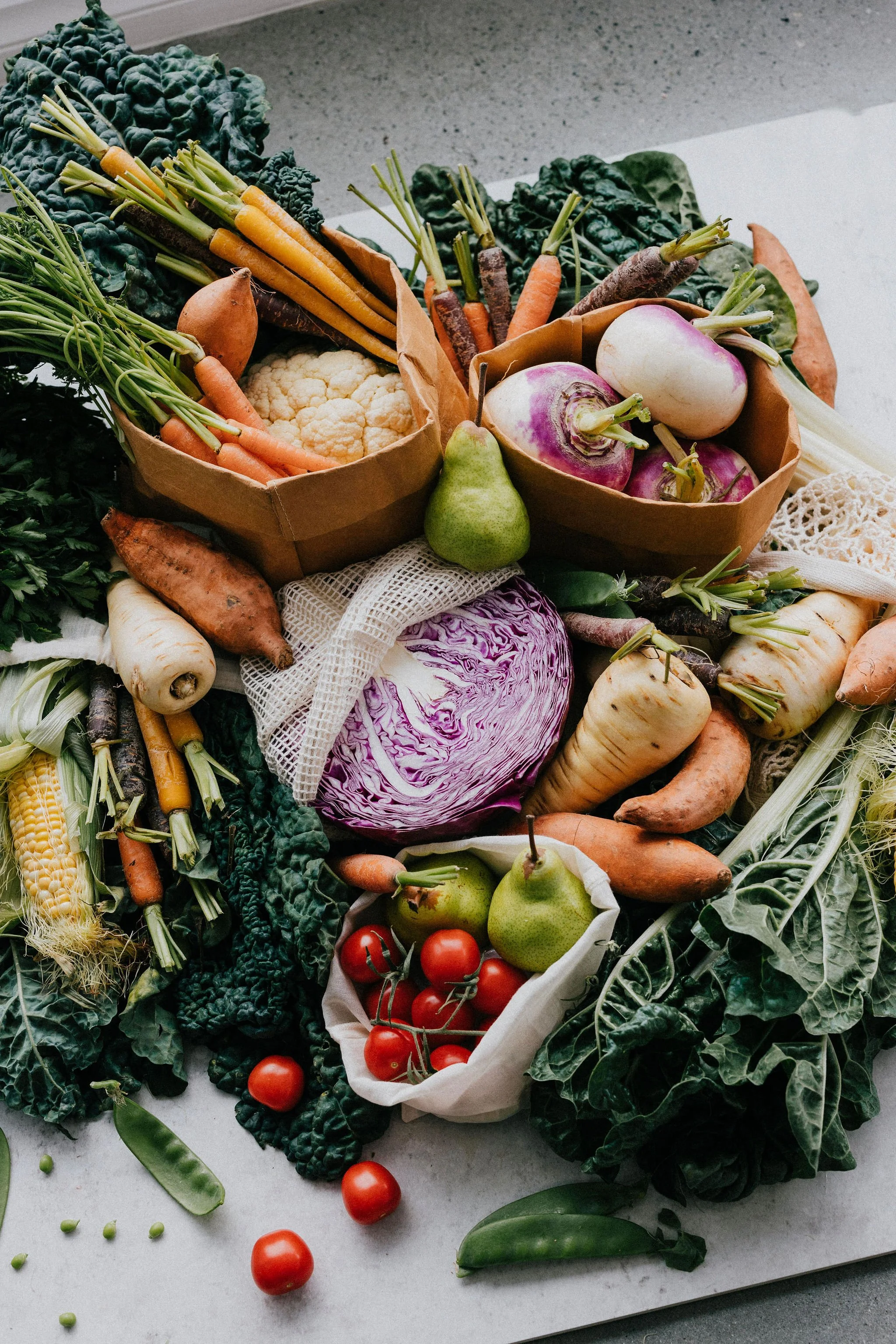 NOURISH + FEED