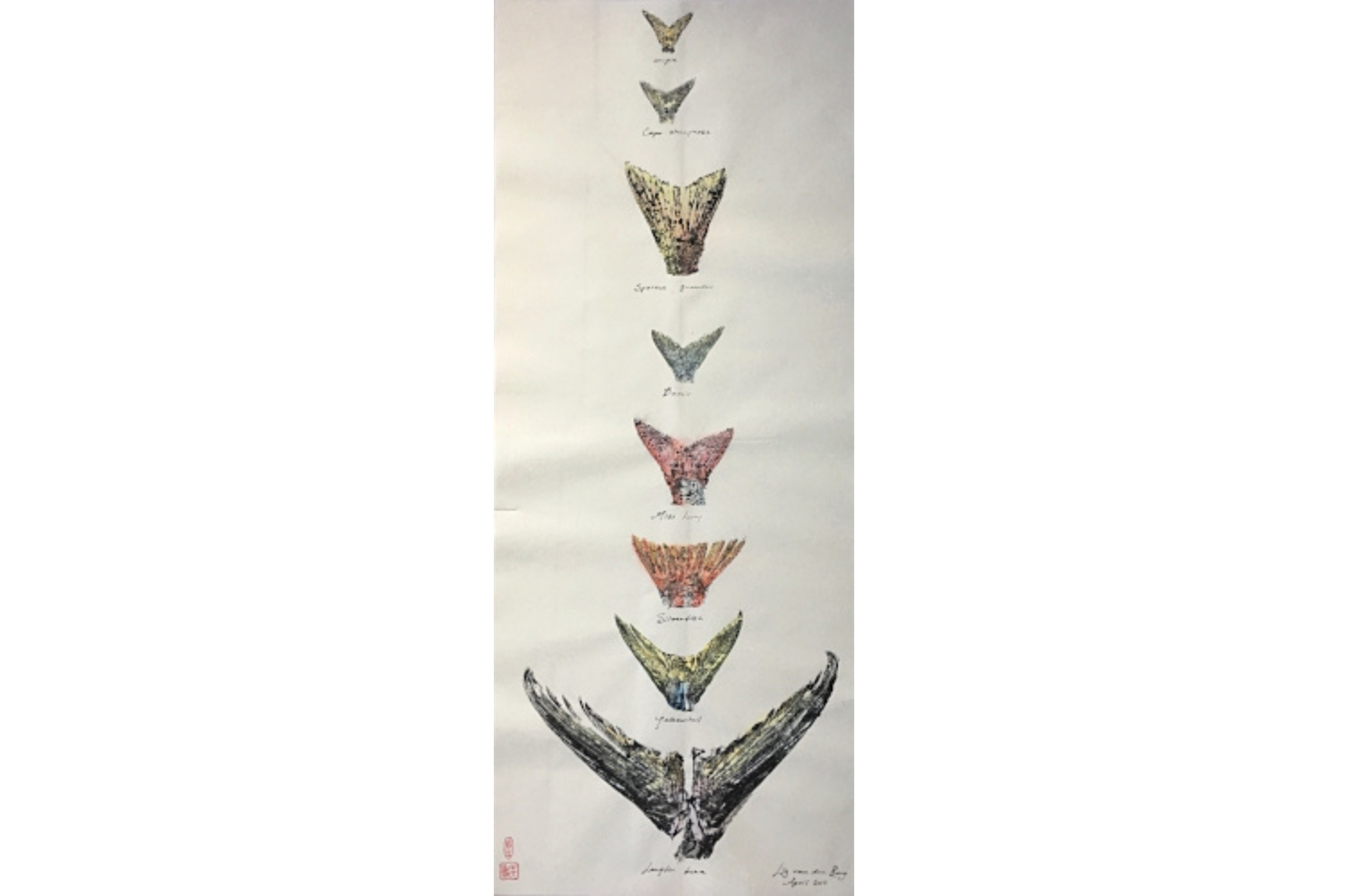 Fish Tiles + Tails — Gyotaku Fish Print SA