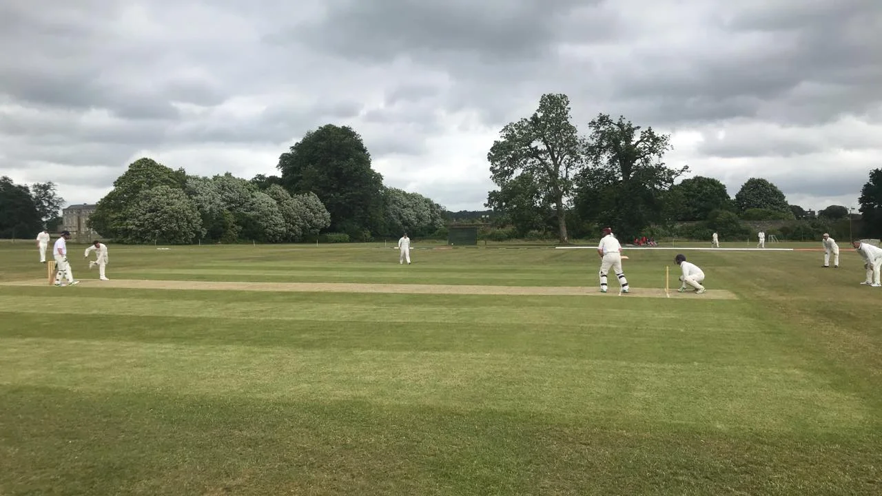 Petworth Park CC v Leconfield Estates — Petworth Park Cricket Club