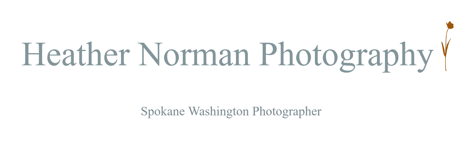 Heather Norman PhotographyHeather Norman Photography