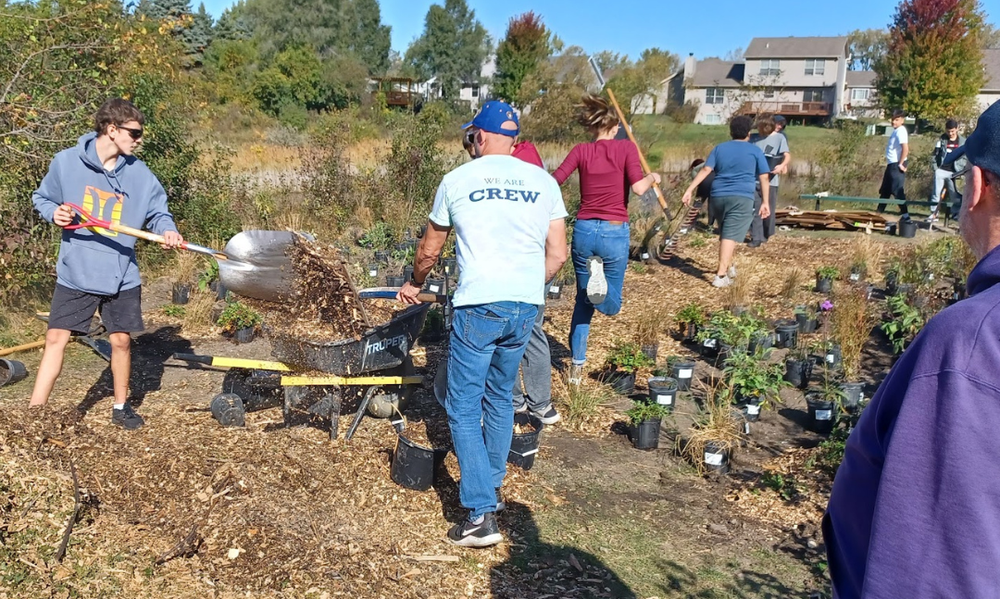 Pollinator Patch Program — Root-Pike Watershed Initiative Network