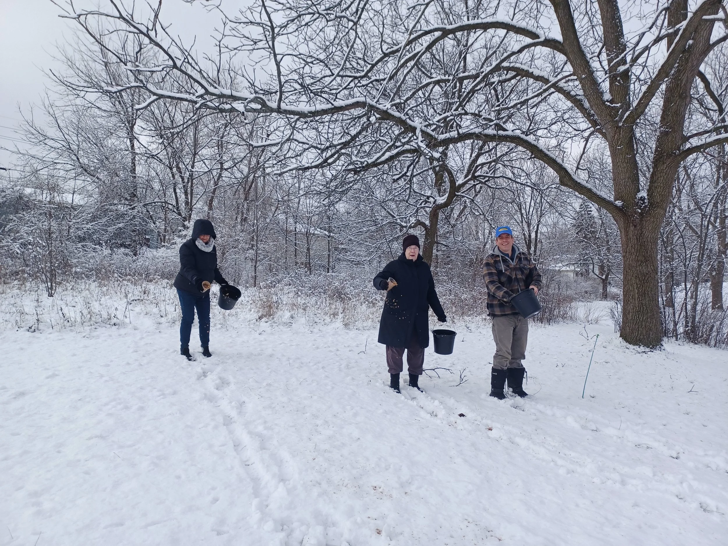 Pollinator Patch Program — Root-Pike Watershed Initiative Network