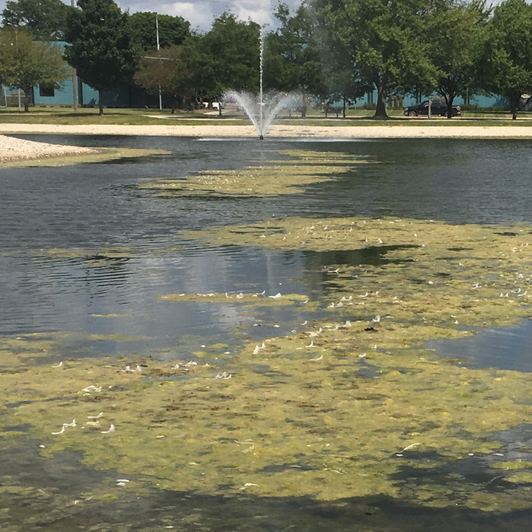 Stormwater Ponds — Root-Pike Watershed Initiative Network