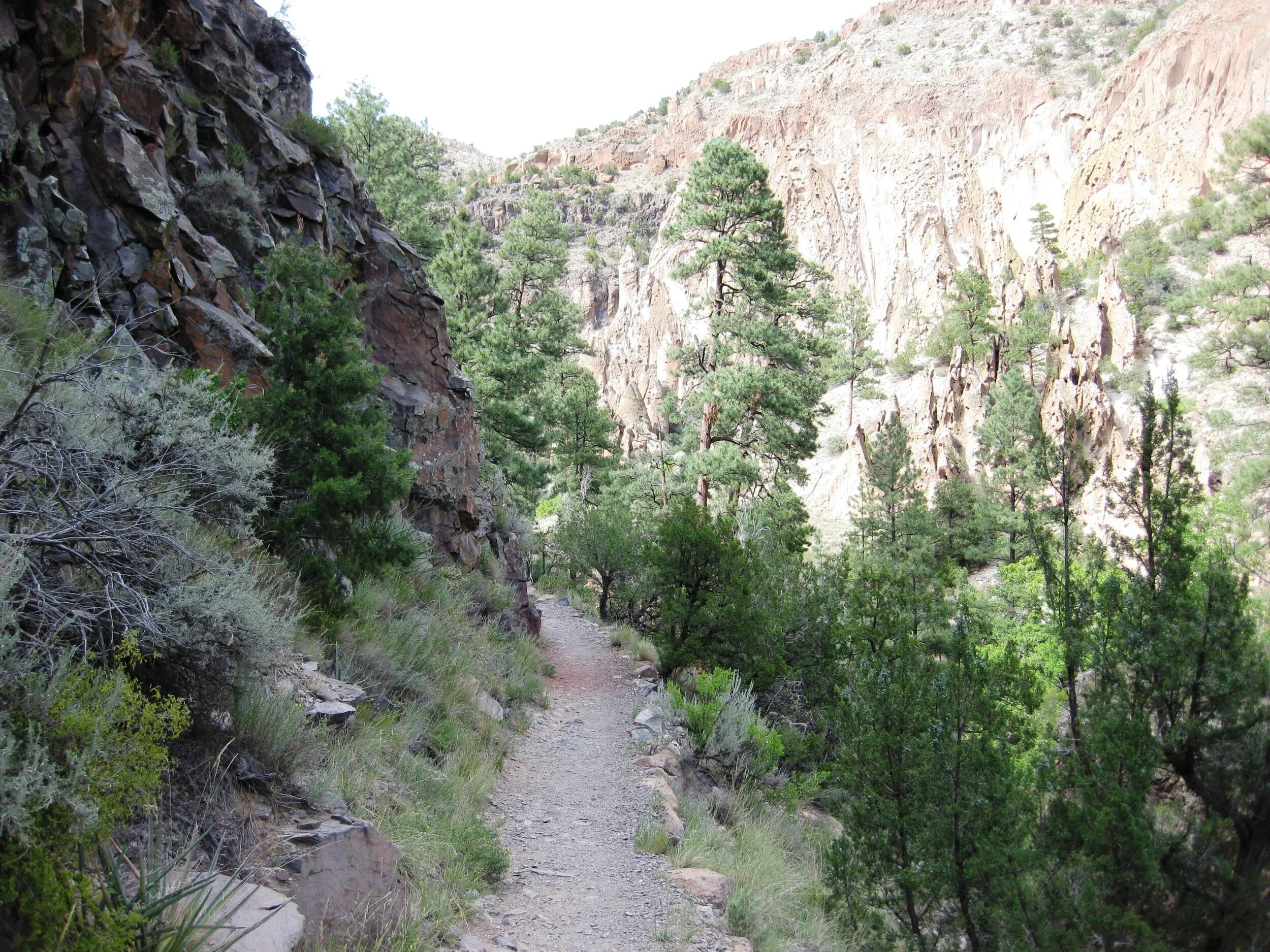 How to Grow From Disappointment — Pastor Ron Danley