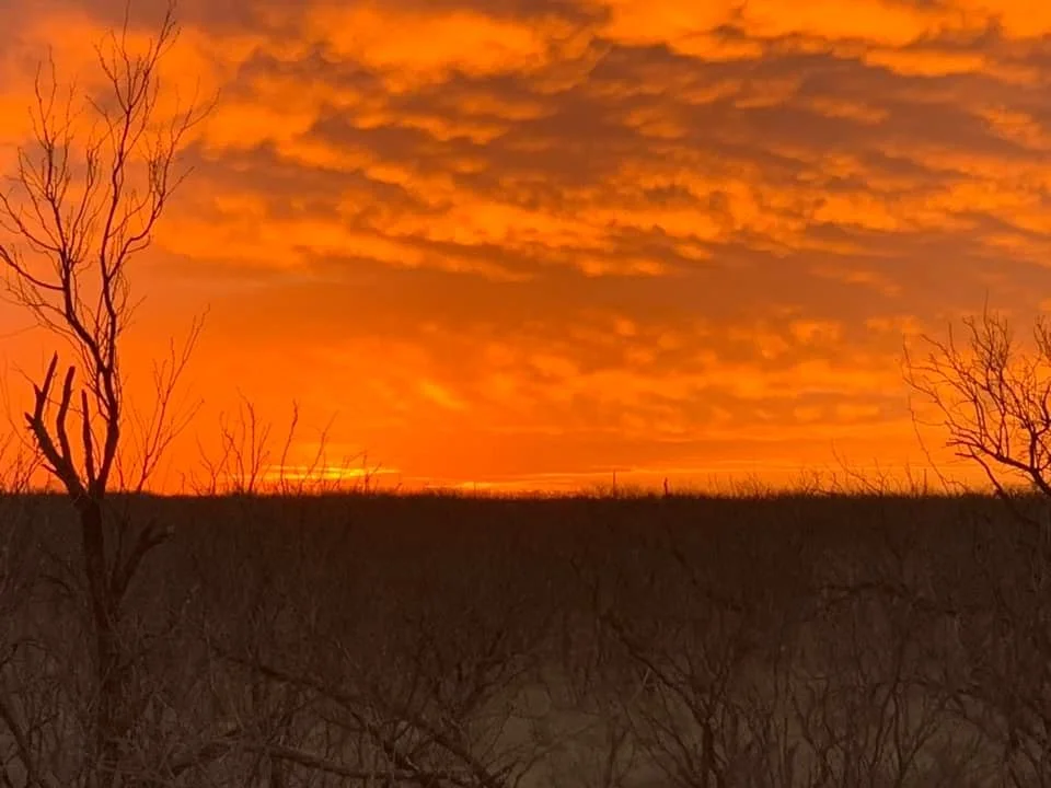 Addressing the Implementation Gap — Pastor Ron Danley