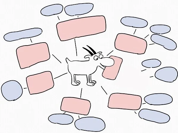 Mind Maps — everyonelovescartoons.com