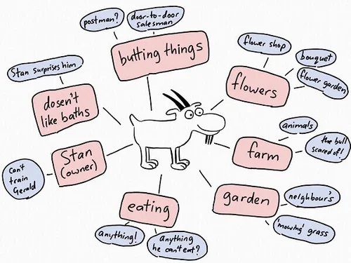 Mind Maps — everyonelovescartoons.com