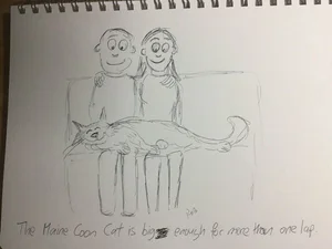 Mind Maps — everyonelovescartoons.com