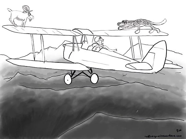 Altitude Drawing