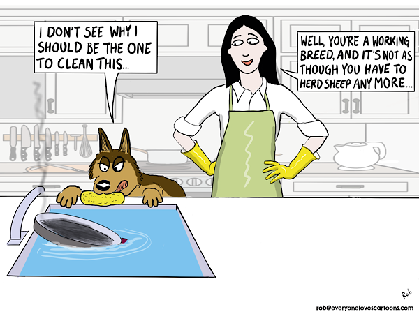 Kitchen Sink Cartoons — everyonelovescartoons.com