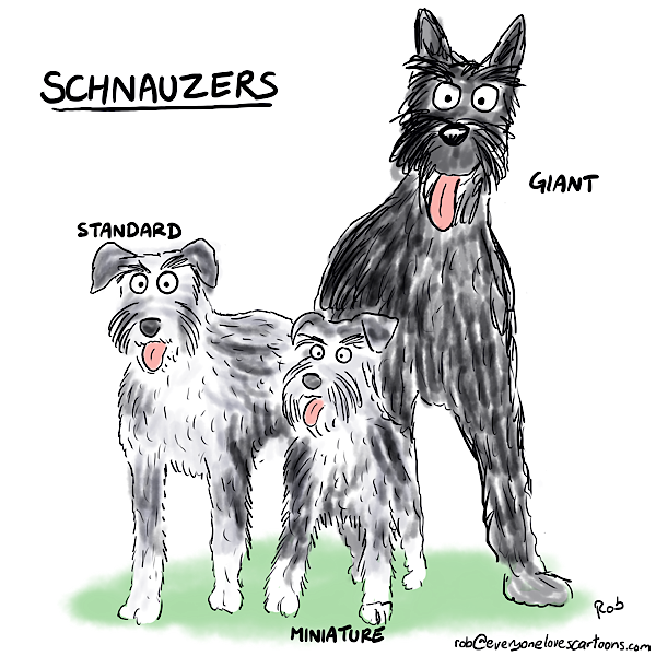 Drawing Cartoon Schnauzers — everyonelovescartoons.com