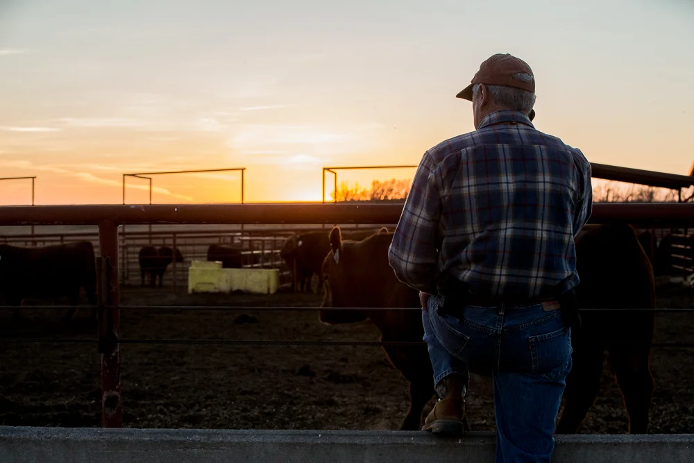 Gallery — R.A. Brown Ranch